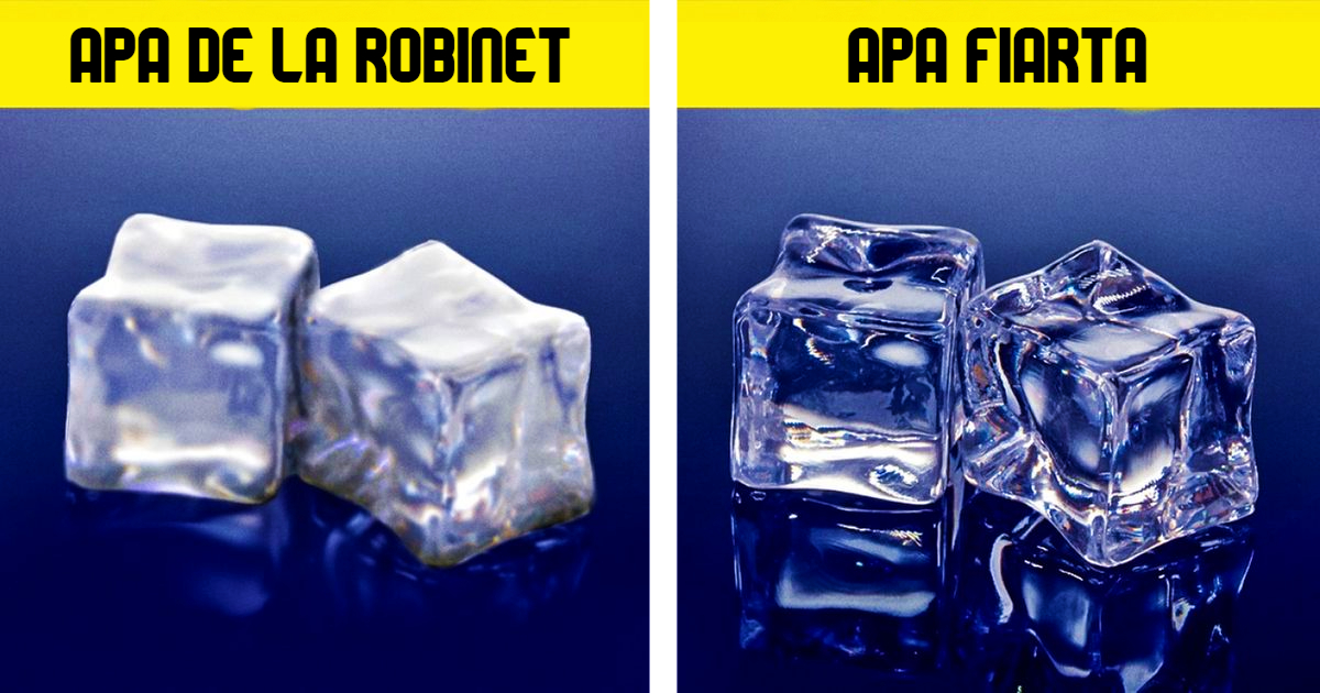 ☝️Curiozitati pentru cei mai inteligenți oameni | curiozitati.org