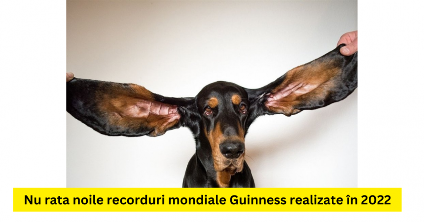 ☝️Noile recorduri mondiale Guinness din acest an | curiozitati.org